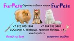 FurPets (Pobedy Avenue No:14, Krasnaya Gorka Subdistrict), evcil hayvan kuaförleri  Liubertsy'den