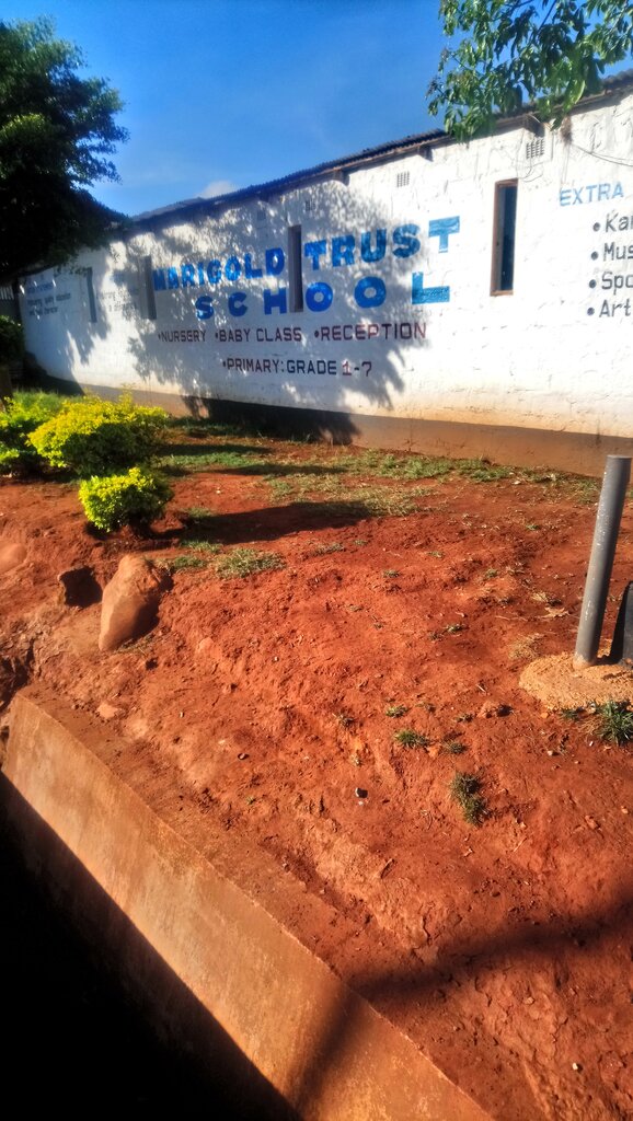 i̇lkokul Marigold Trust School, Lusaka, foto