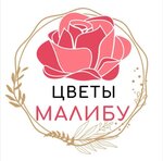 Малибу (prospekt 50 let Oktyabrya No:25), çiçekçiler  Dalnegorsk'tan