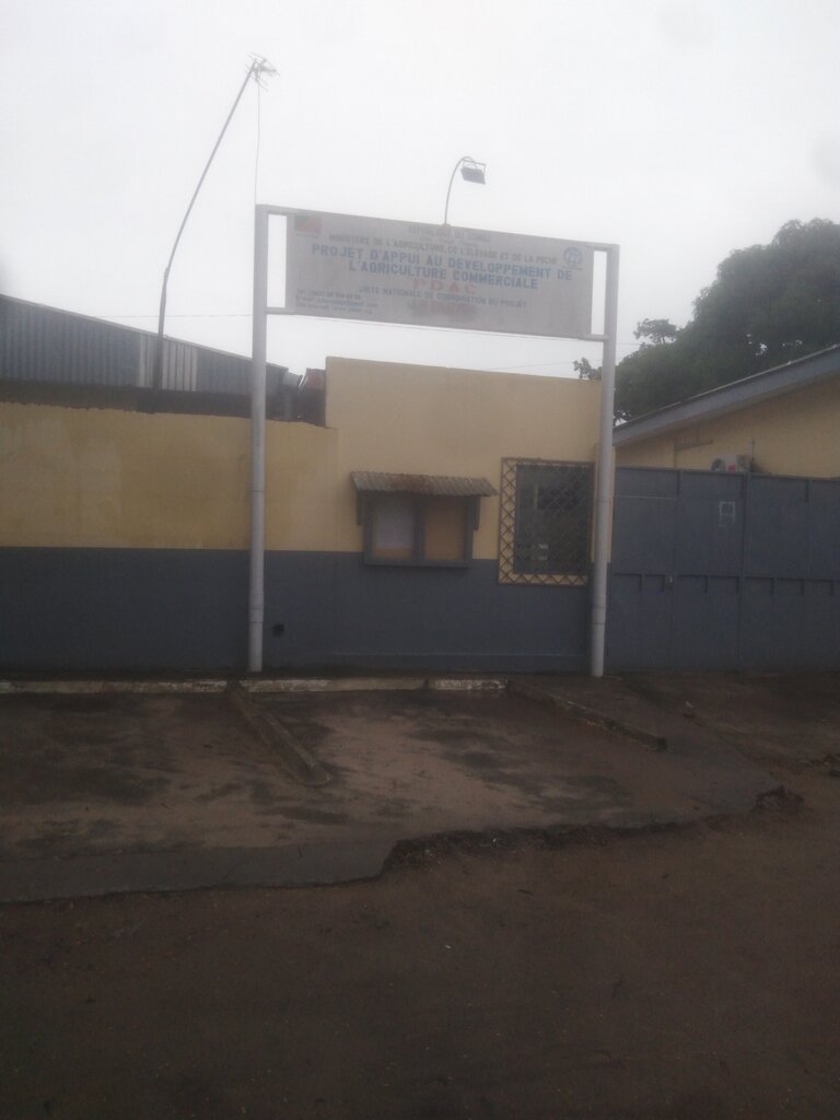 Devlet kurumları ve bakanlıklar Ministère De L'agriculture Et De L'élevage, Brazzaville, foto