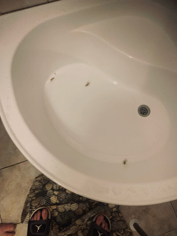 Termal otel Bereznyaki, Karağandı eyaleti, foto