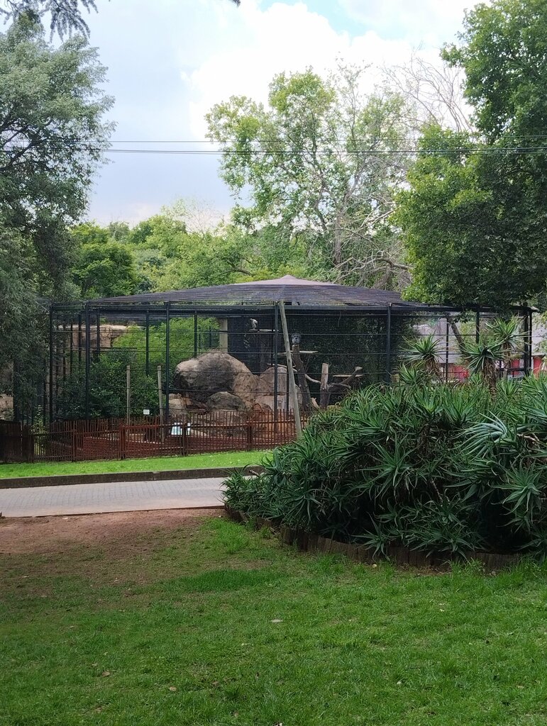 Hayvanat bahçeleri Johannesburg Zoo, Dünya, foto