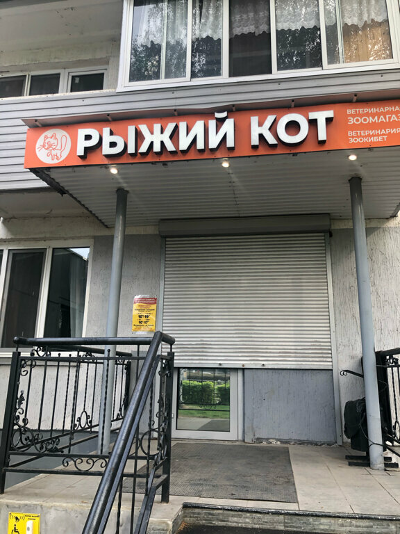 Veteriner klinikleri Ryzhiy Kot, Naberejniye Çelny (Yar Çallı), foto