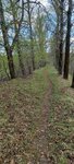 Spring, stream (Moscow Region, Sergiyevo-Posadskiy Urban District), pınar, çay  Moskova ve Moskovskaya oblastından