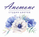 Anemone (Topolinaya Street No:24Б), çiçekçiler  Tolyatti'den (Togliatti'den)