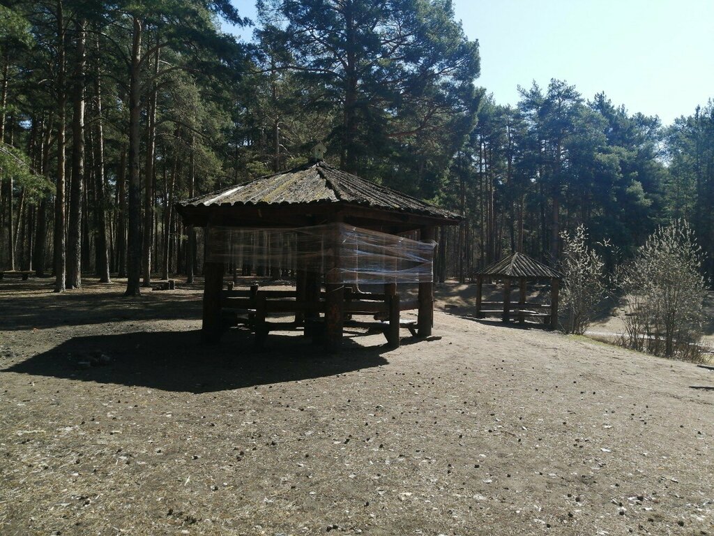 Piknik alanı Место для пикника, Perm, foto