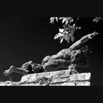 Foto Gammacolor (Emilia-Romagna, Forlì-Cesena, Cesena, Via Lugaresi), fotoğraf hizmetleri