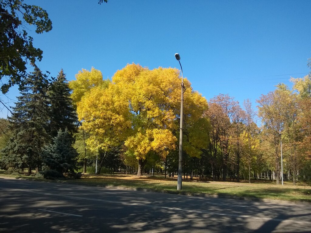 Kültür ve eğlence parkları Park Heroiv, Krivoi Rog, foto