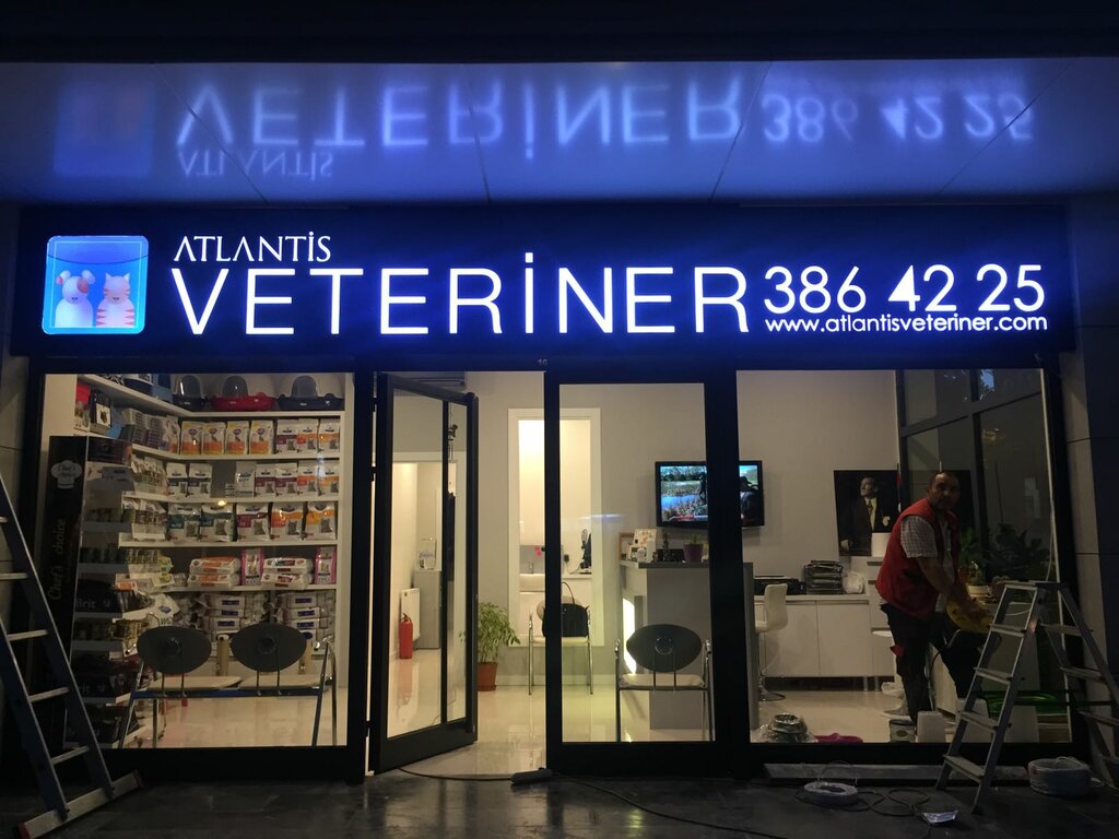 Veteriner klinikleri Atlantis Veteriner, İstanbul, foto