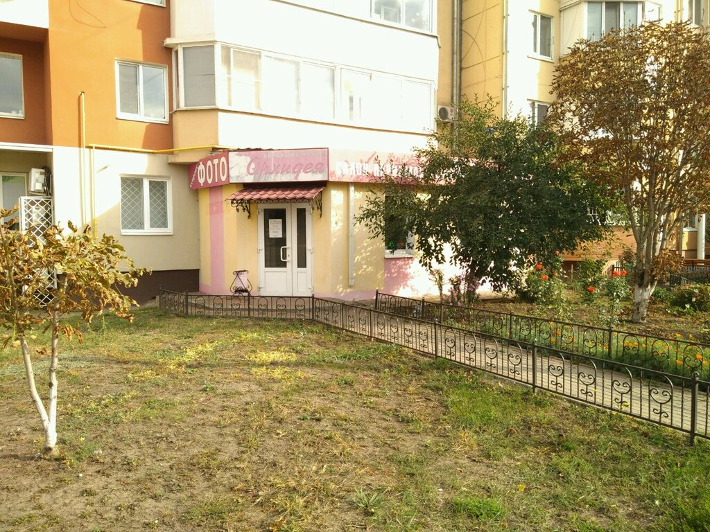 Kuaförler Орхидея, Belgorodskaya oblastı, foto