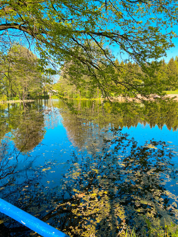 Kültür ve eğlence parkları Богдановский парк, Pskovskaya oblastı, foto