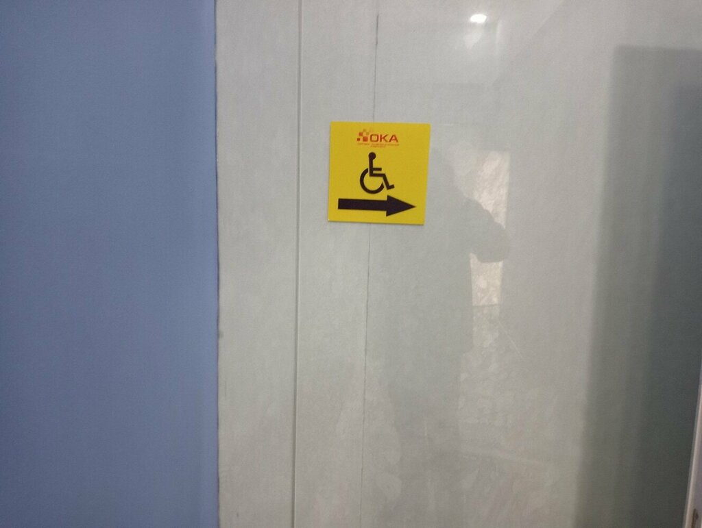 Engelliler için tuvalet Toilet for the disabled, Kolpino, foto