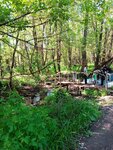 Spring, stream (Samara Region, 36N-854), pınar, çay  Samara'dan
