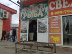 Живая рыба (3-y Yugo-Zapadny proyezd No:1к33, Promyshlenny rayon, mikrorayon № 28), balık ve deniz ürünleri  Stavropol'dan