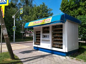Свежий хлеб (ulitsa Chekhova No:4, Mamonovo, Russian Federation), ekmek fırını