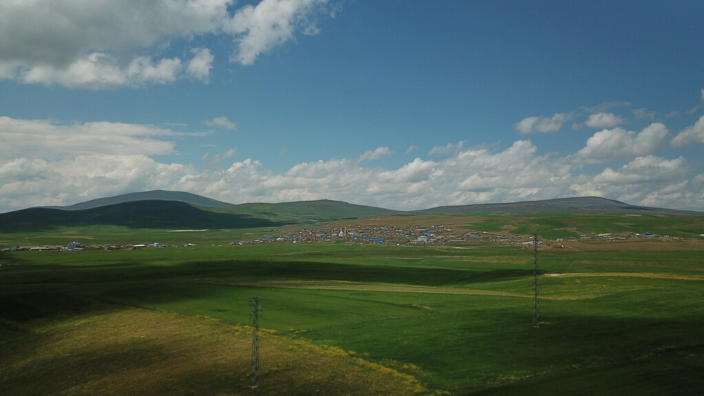 Muhtarlıklar Türkmeşen Köy Muhtarlığı, Digor, foto