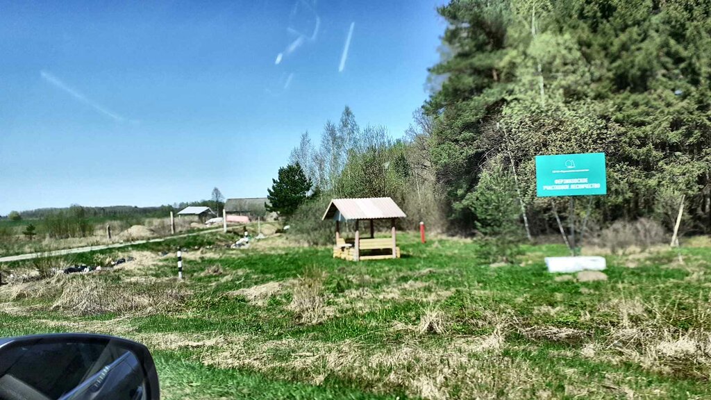 Piknik alanı Место для пикника, Kalujskaya oblastı, foto