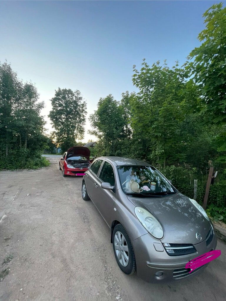 Otomobil servisi Автосервис, автотехцентр, Pskovskaya oblastı, foto