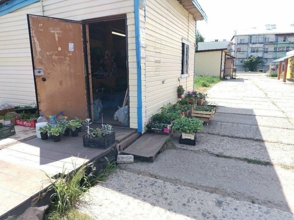 Tohum satan yerler Магазин цветов и семян, Kirov, foto