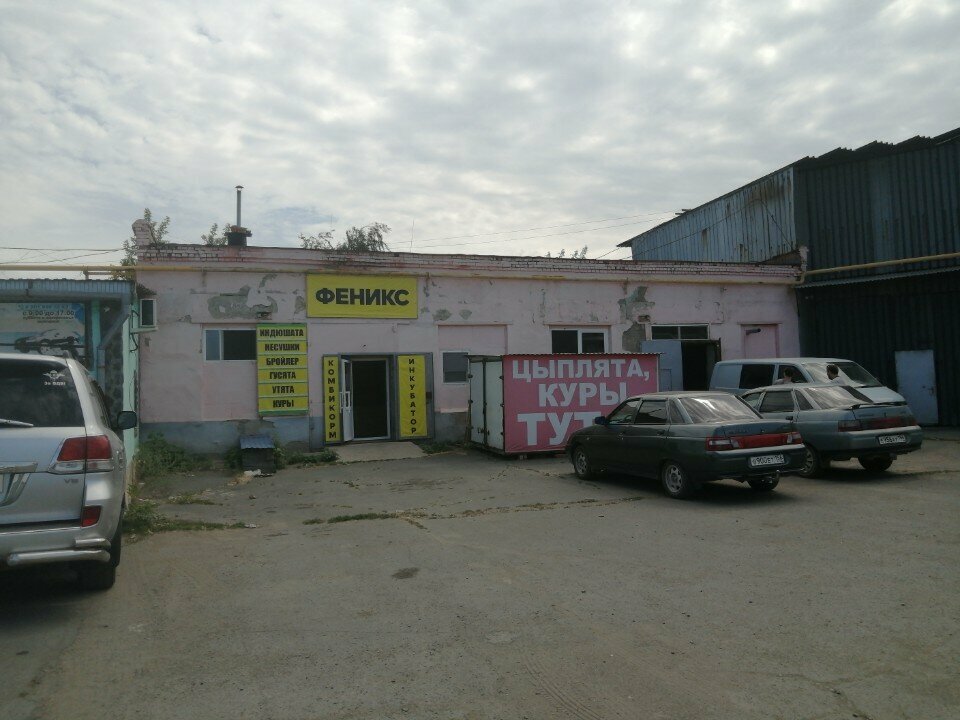 Petshop Феникс, Orsk, foto