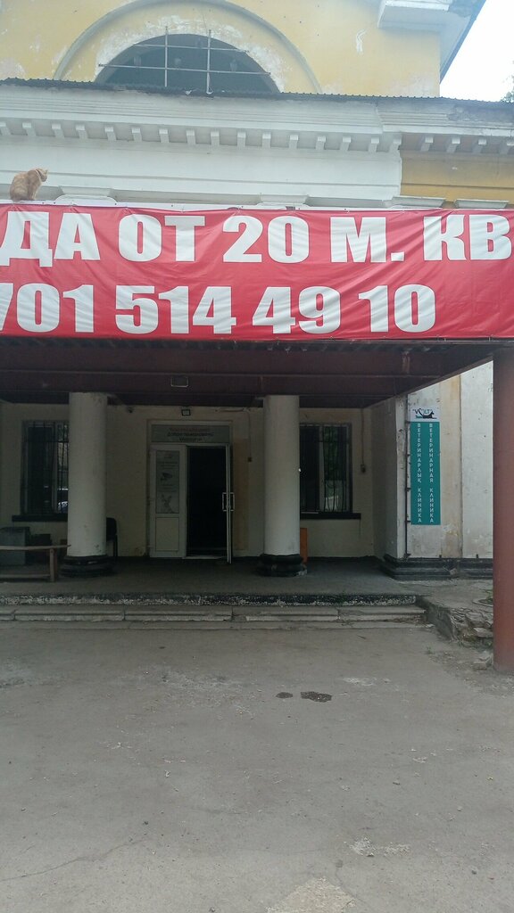 Veteriner klinikleri Volt, Karağandı, foto