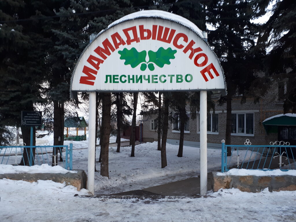 Orman işleri Mamadyshskoye Lesnichestvo Gbu, Mamadış, foto