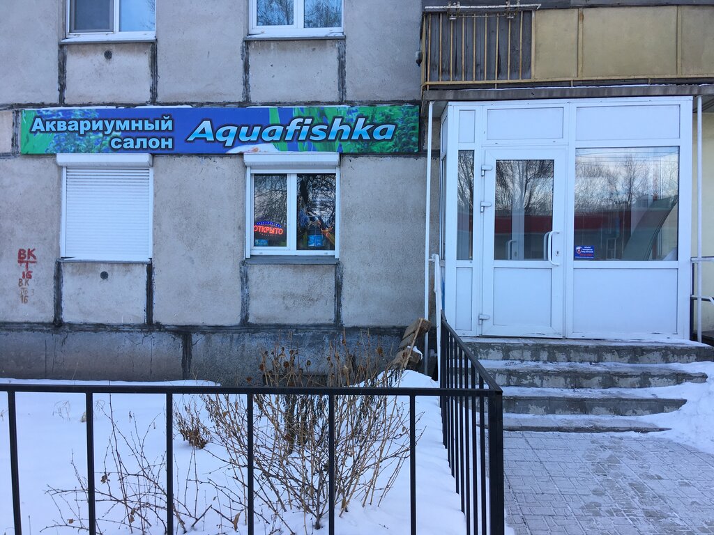Akvaryumlar Aquafishka, Magnitogorsk, foto