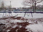 Sports ground (Moscow, Novomoskovskiy Administrative Okrug, Vnukovo Settlement), spor alanı  Moskova'dan