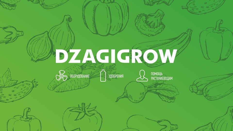 Teslimat noktası DzagiGrow, Perm, foto
