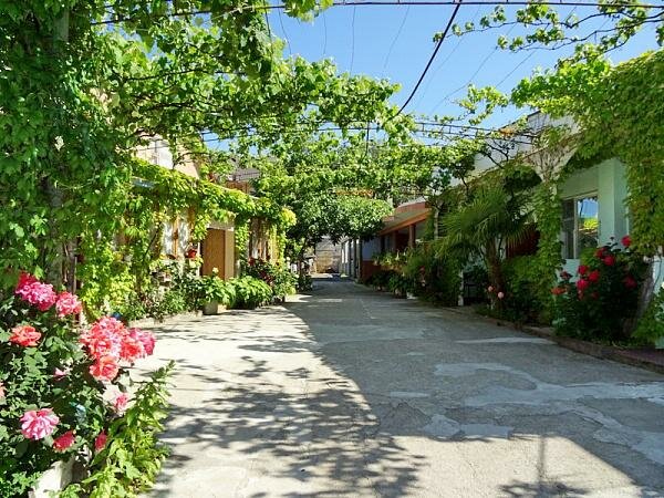 Otel У Надежды и Алексея, Kırım Cumhuriyeti, foto