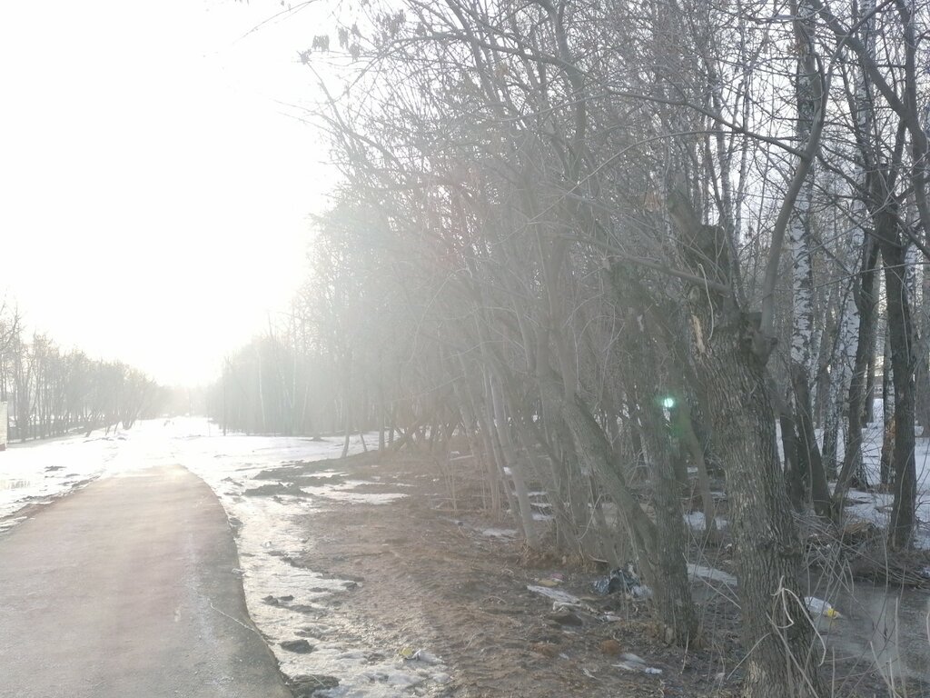 Doğa Липовая и березовые аллеи, Moskova, foto