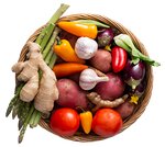 OlimpicFresh (Novo-Vokzalny tupik No:21), toptan sebze ve meyve satışı  Samara'dan