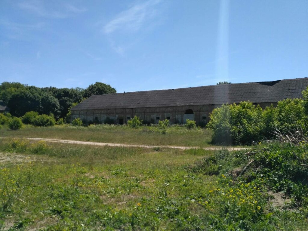 Turistik yerler Конюшня, Brianskaya oblastı, foto