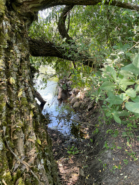 Turistik yerler Водяная мельница, Minskaya oblastı, foto