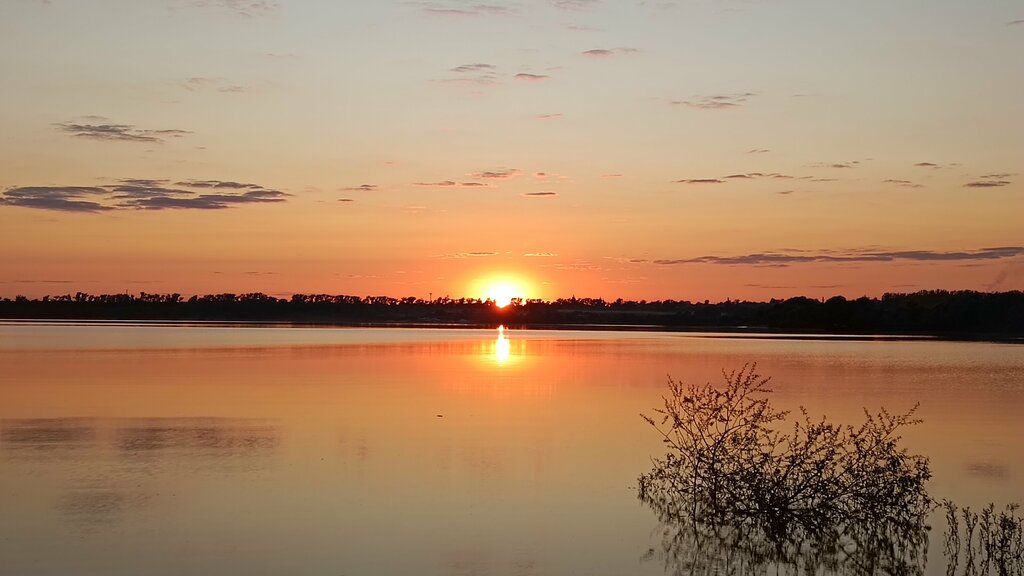 Plaj Пляж, Moskova ve Moskovskaya oblastı, foto