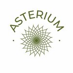 Asterium (ulitsa Zakharchenko No:12), çiçekçiler  Elektrostal'den