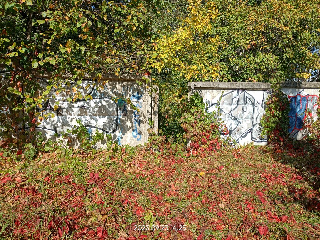 Orman урочище Липки, Belgorod, foto