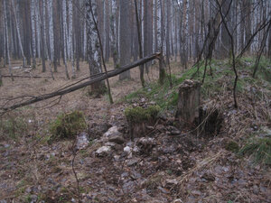 Березитовая копь (Sverdlovsk Region, Sysertskiy munitsipalny okrug), turistik yerler  Sverdlovskaya oblastından