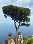 Гид в Неаполе, Помпеи, Капри Елена Ельчанинова (Campania, Naples, Piazza Mercato), seyahat acenteleri  Napoli'den