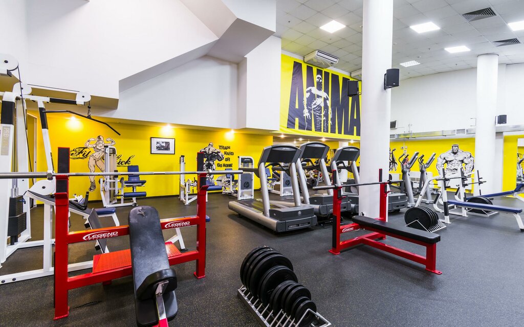 Spor ve jimnastik salonları Bogatyr, Balaşiha, foto