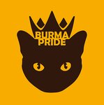 Burma Pride (Mira Avenue No:24к2), evcil hayvan yetiştiricileri  Friazino'dan