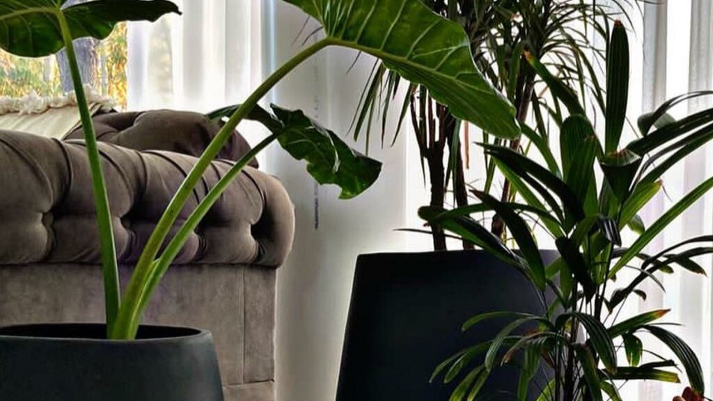 Bahçe ekipmanları ve teknolojileri El Pinar, , foto