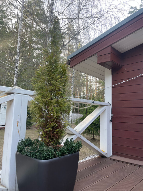 Resort oteller, tesisler Berezhki Luxury Resort, Vladimirskaya oblastı, foto