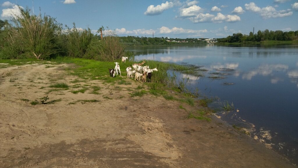Plaj Пляж Затон, Kasimov, foto