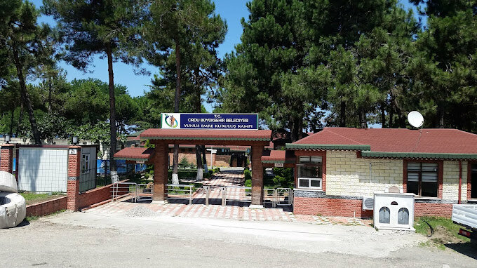Kamp alanları Yunus Emre Kurtuluş Parkı Kamp Alanı, Ünye, foto