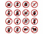Expert Pest Control & Cleaning Services (14, Morocco-I Street, Dubai International City, Mushraif, Dubai), haşere ilaçlama firmaları