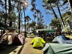 Camping Bar Yakami (Guria, Ozurgeti Municipality, Ureki Urban-type Settlement), kamp alanları