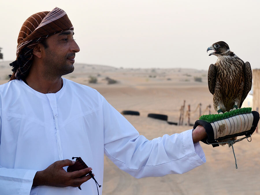 Turizm acenteleri Desert Safari Dubai, Dubai, foto