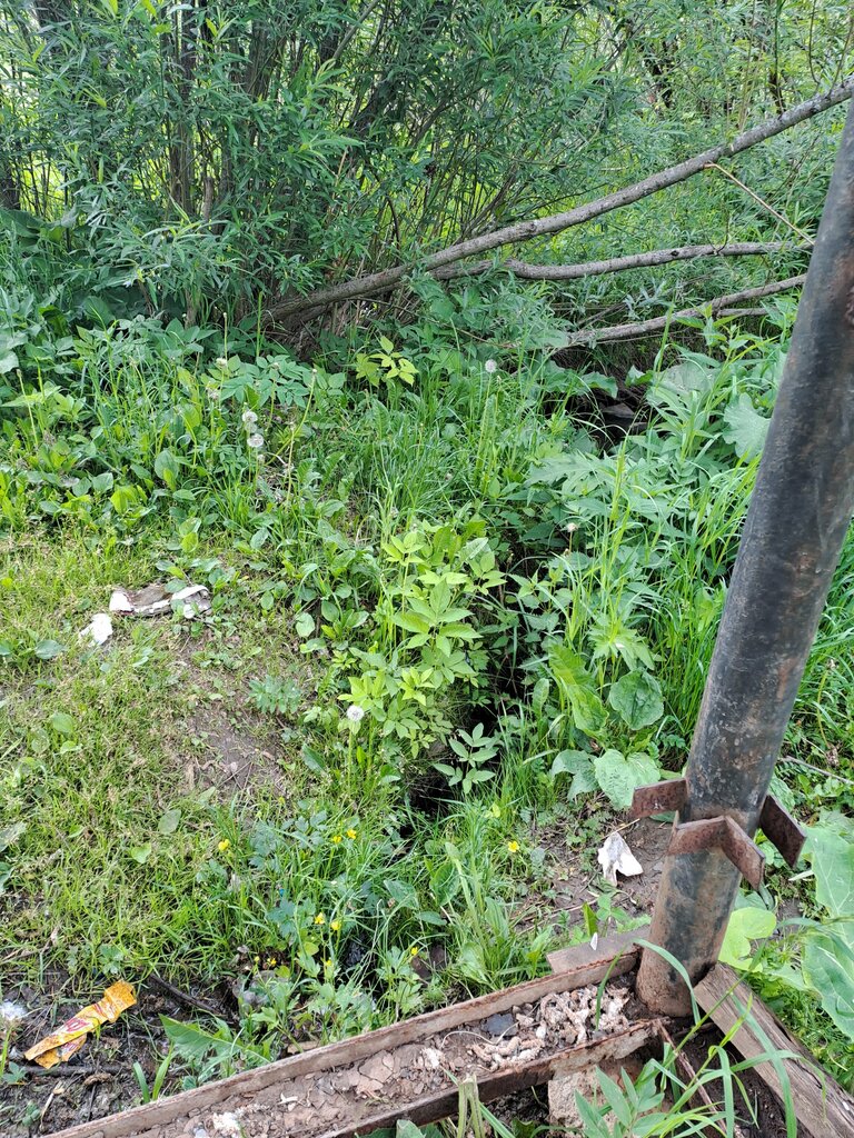 Pınar, çay Spring, stream, Perm, foto
