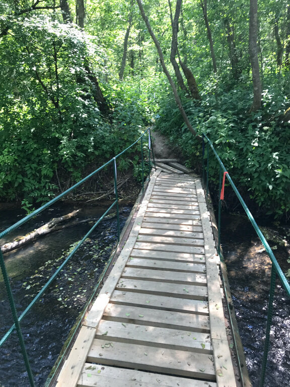 Doğa Shutov kamen, Moskova ve Moskovskaya oblastı, foto